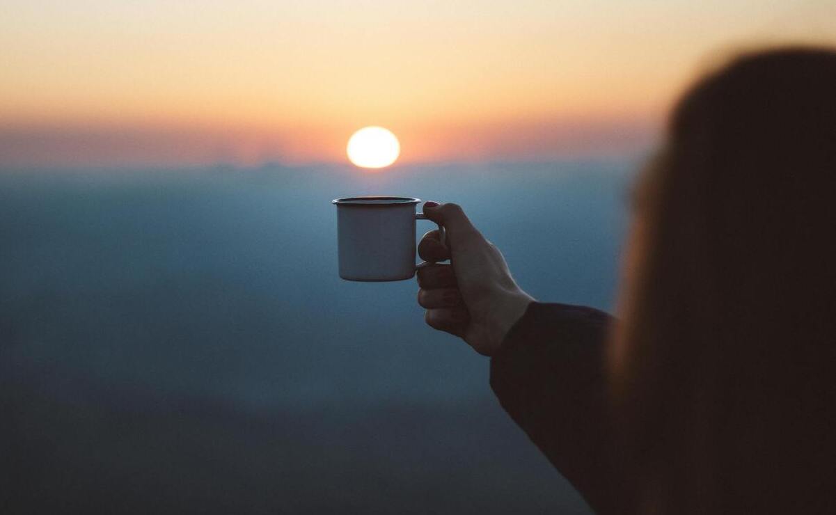 Descubre la ruta del Café Pluma Hidalgo: sabor y aroma desde la Sierra ...