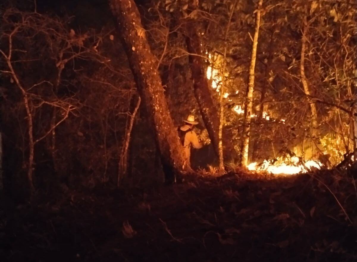Selva De Los Chimalapas Concentra 4 De Los 5 Incendios Activos Que