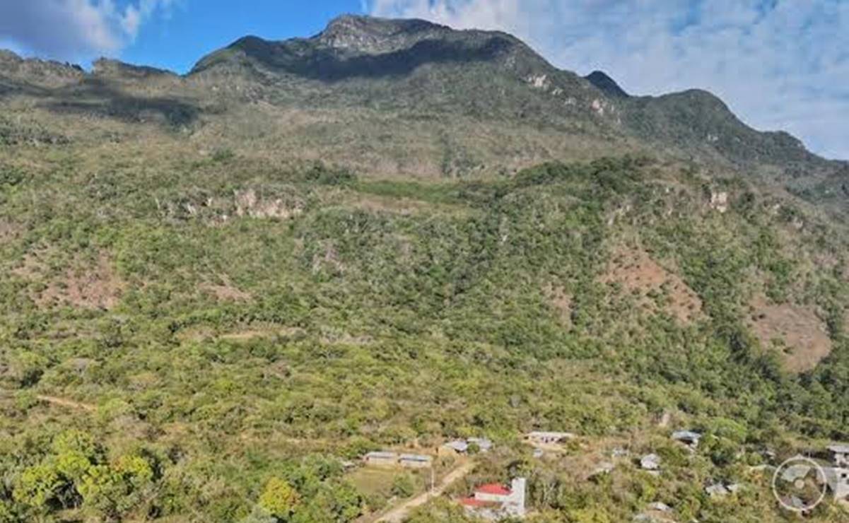 Tala inmoderada pone en riesgo los bosques de comunidades de la Mixteca ...
