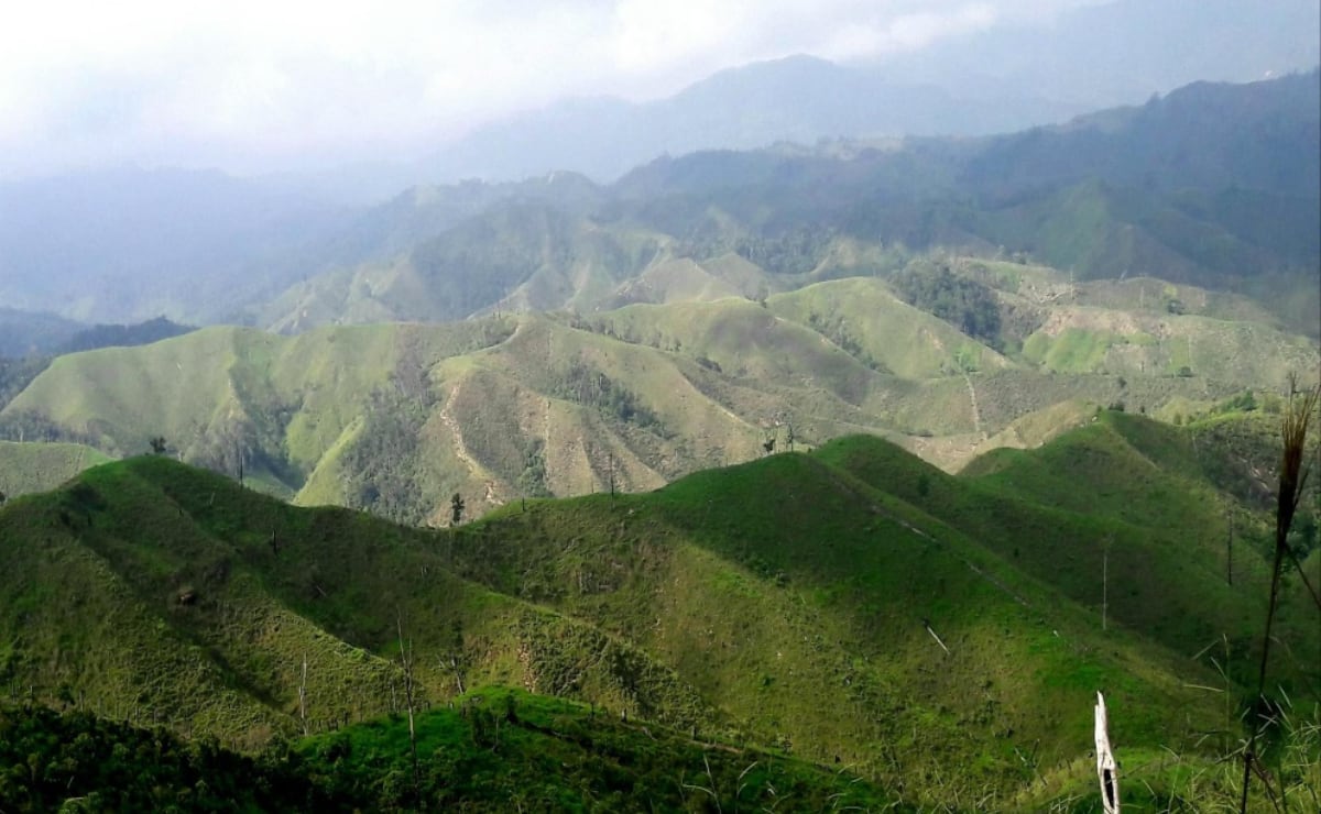 Da razón SCJN a Oaxaca y le regresa 160 mil hectáreas de selva de Los ...
